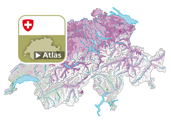 Bundesgesetz über die direkte Bundessteuer (DBG) (Steuerliche ...