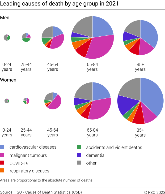 Leading causes of death by age group in 2021 - 2021 | Diagramm ...